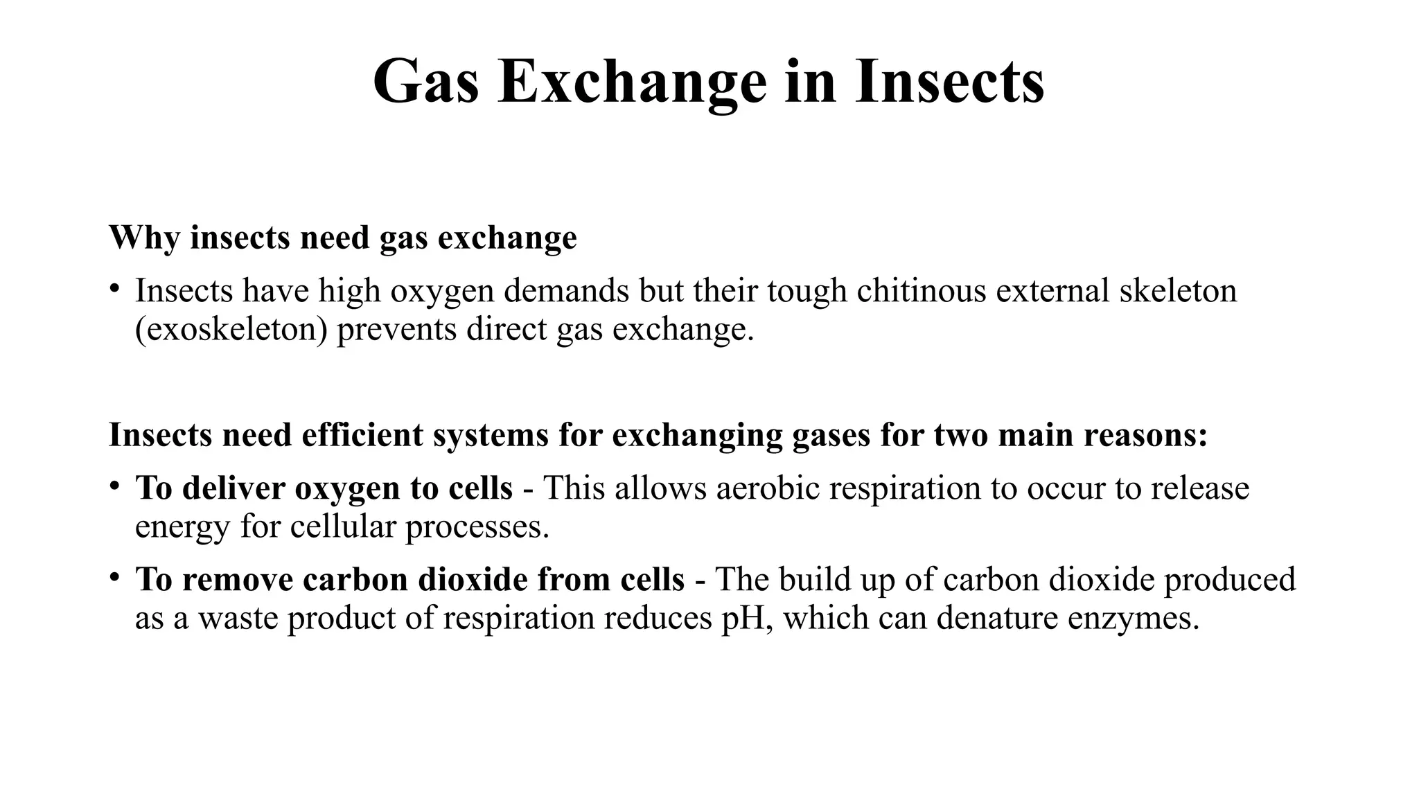Gas Exchange in Insects and structures 01 | PPTX