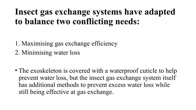 Gas Exchange in Insects and structures 01 | PPT