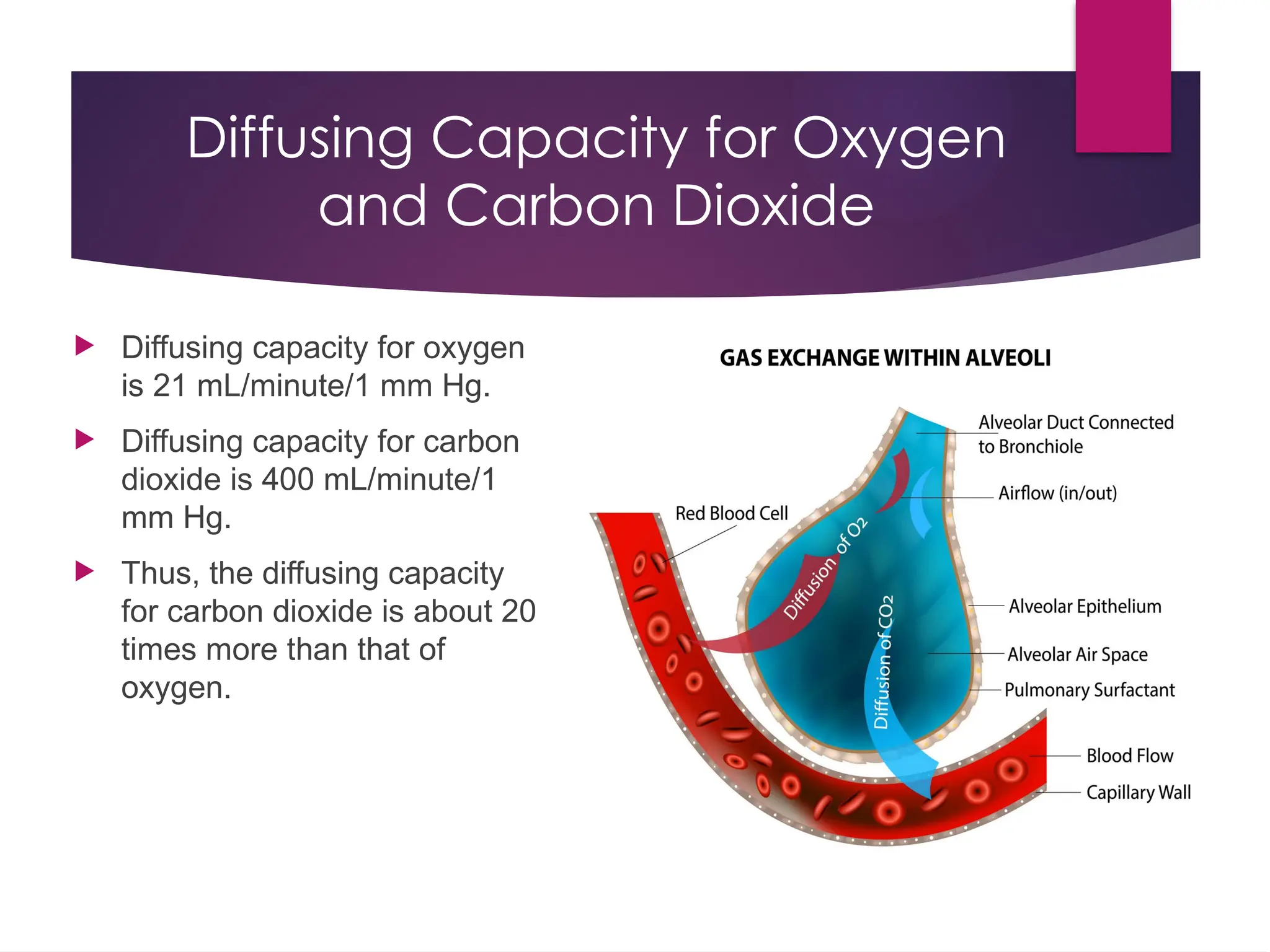 Gas exchange takes place in lungs during breathing.pptx | Lung and ...