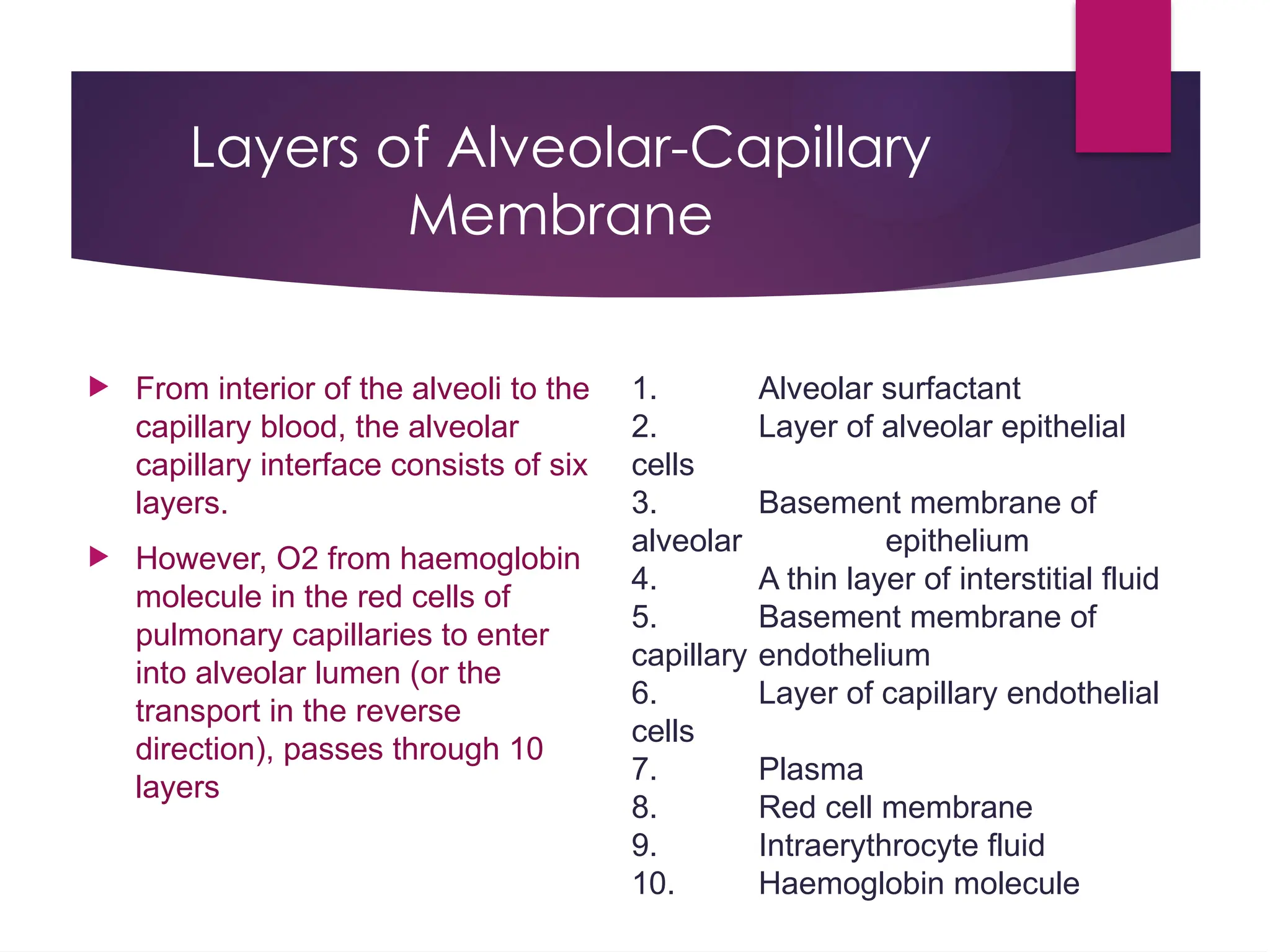 Gas exchange takes place in lungs during breathing.pptx | Lung and ...