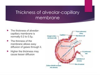 Gas exchange takes place in lungs during breathing.pptx