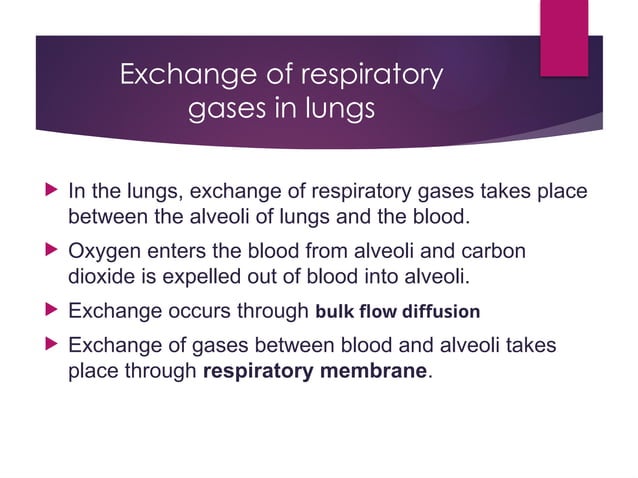 Gas exchange takes place in lungs during breathing.pptx