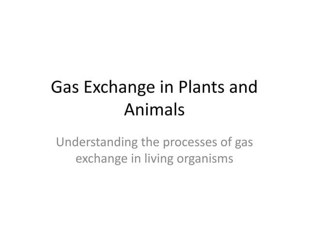 Grade 12 - Gas_Exchange_in_Plants_and_Animals.pptx