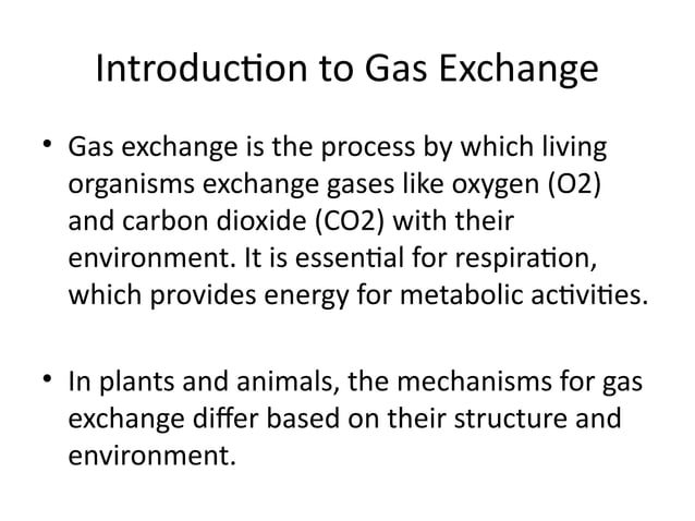 Grade 12 - Gas_Exchange_in_Plants_and_Animals.pptx