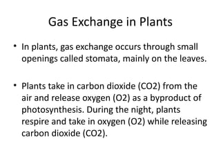 Grade 12 - Gas_Exchange_in_Plants_and_Animals.pptx