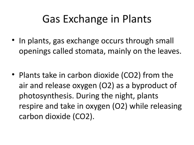 Grade 12 - Gas_Exchange_in_Plants_and_Animals.pptx