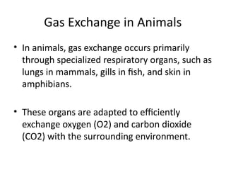 Grade 12 - Gas_Exchange_in_Plants_and_Animals.pptx