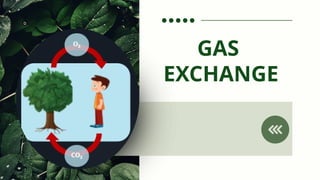 Topic about Gas Exchange in Plants and Animals.pptx