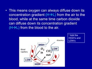 Gas_ExchangeNEWCC Atechinique learning a | PPT
