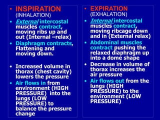 Gas_ExchangeNEWCC Atechinique learning a | PPT