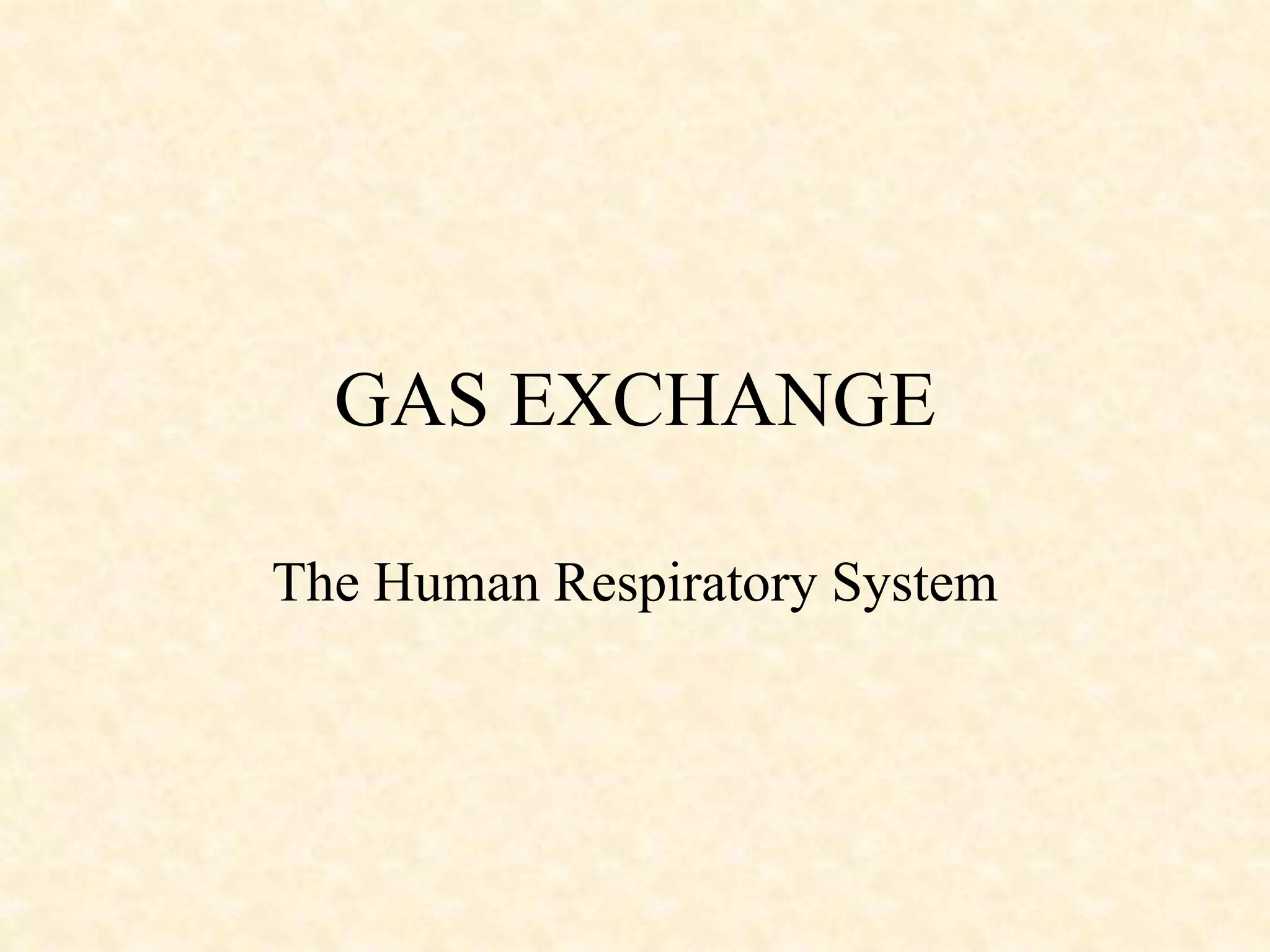 GAS EXCHANGE pRESENTATION2.ppt | Lung and Respiratory Health | Diseases ...