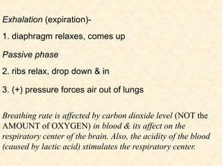GAS EXCHANGE pRESENTATION2.ppt