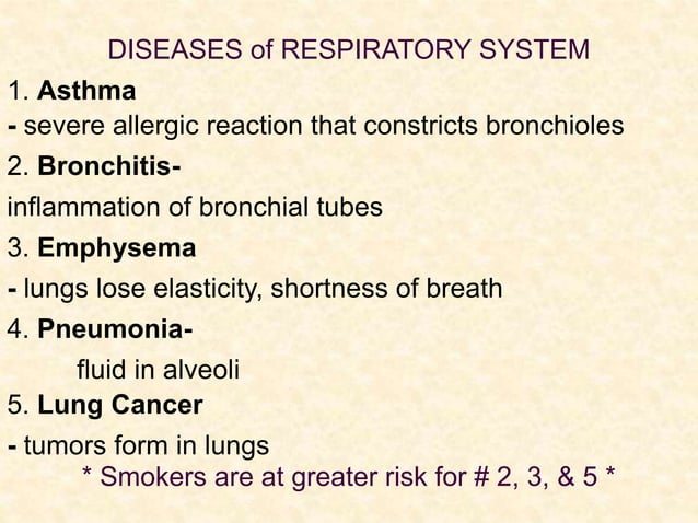 GAS EXCHANGE pRESENTATION2.ppt | Lung and Respiratory Health | Diseases ...