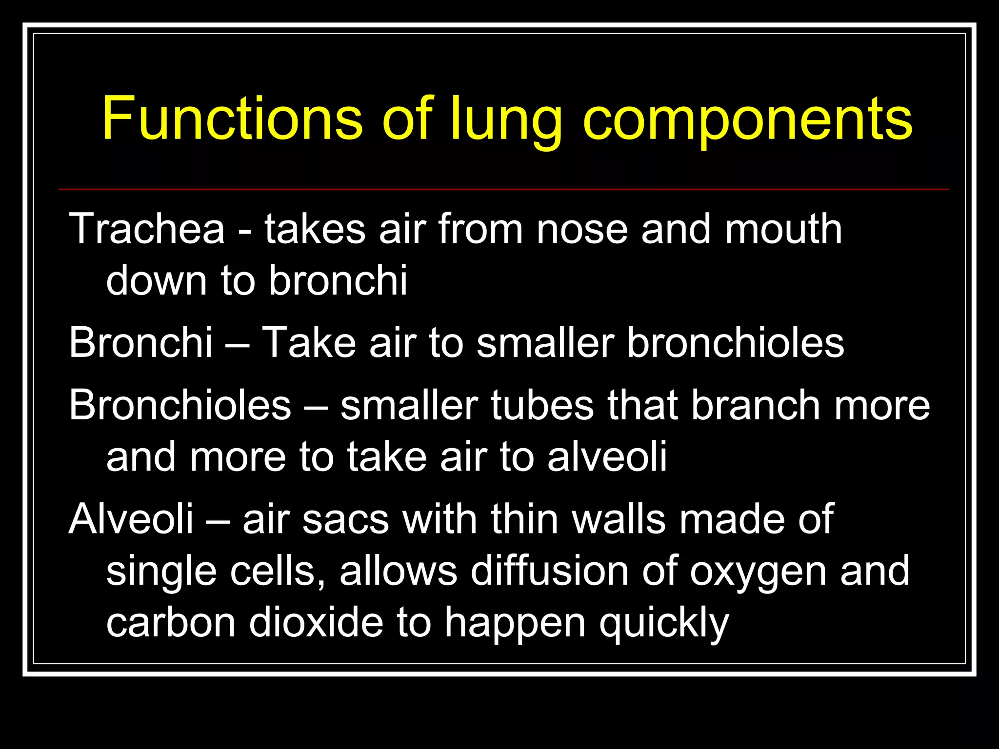 Grade 11 - Gas Exchange and Smoking | PPT