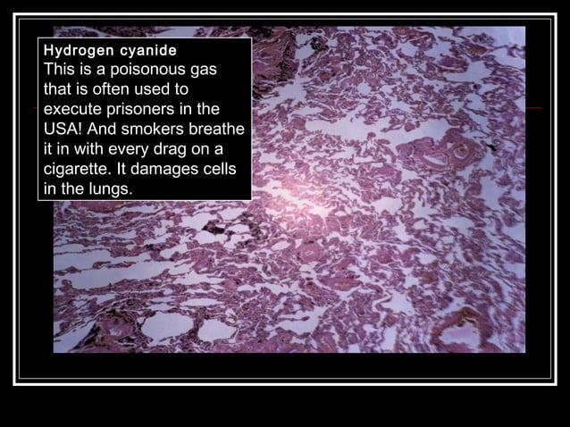 Grade 11 - Gas Exchange and Smoking | PPT