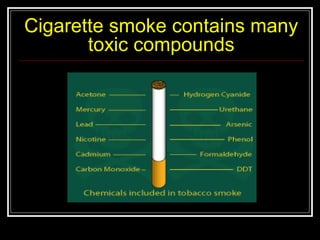 Grade 11 - Gas Exchange and Smoking | PPT