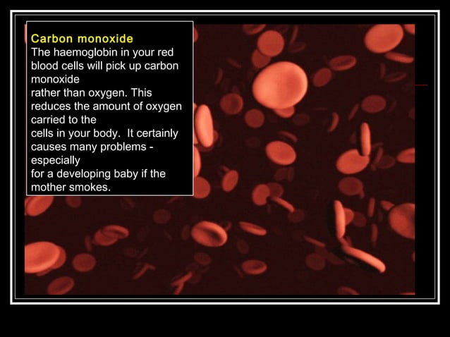 Grade 11 - Gas Exchange and Smoking | PPT