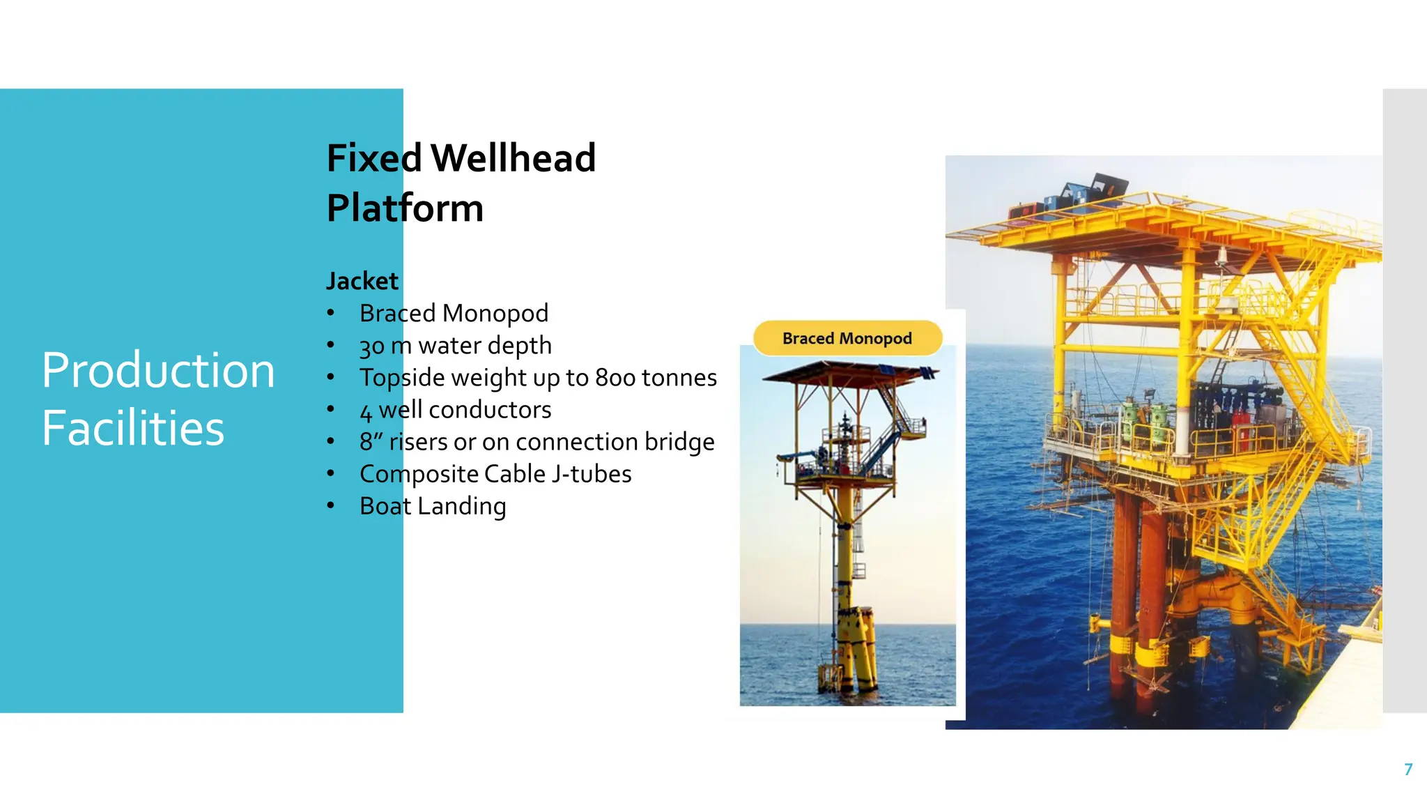 Offshore Gas Field Development Project Plan | PPT