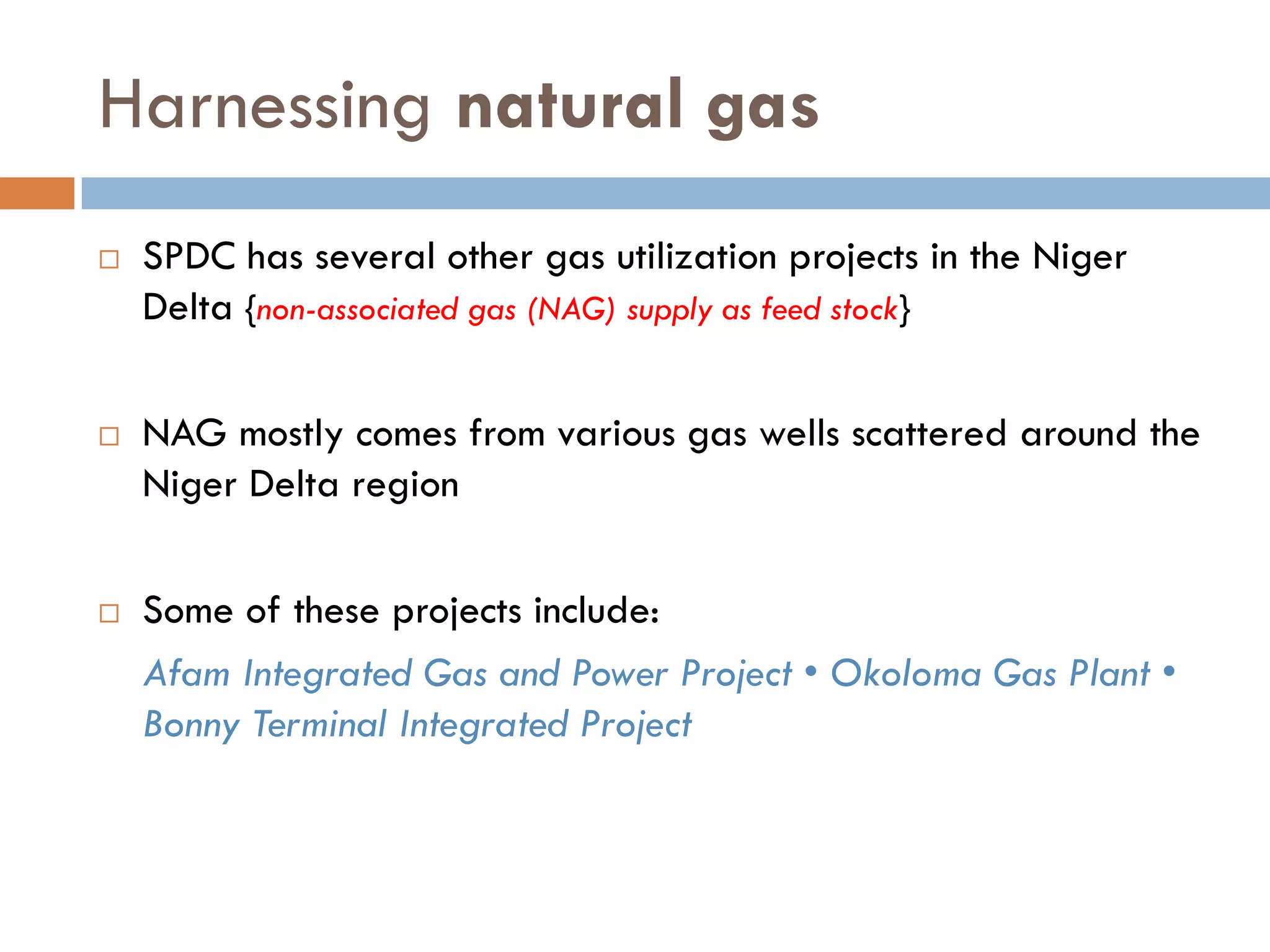 Gas Flaring Reduction In The Niger Delta | PDF