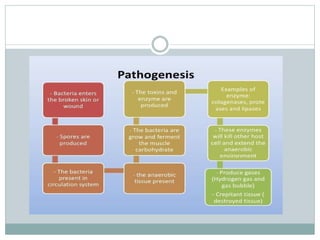 Gas Gangrene........................pptx