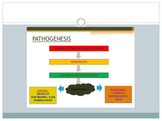 Gas Gangrene........................pptx