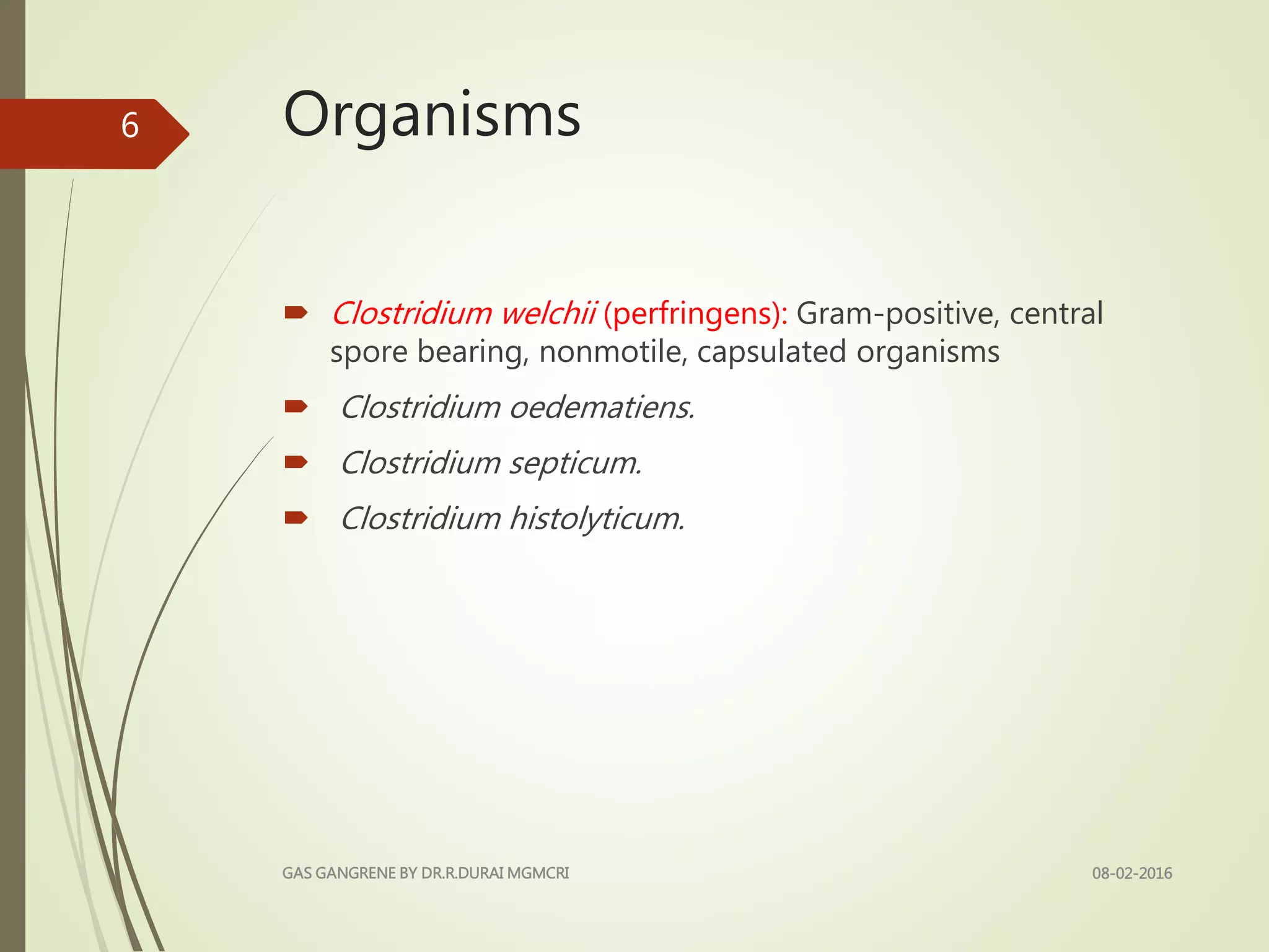 Gas gangrene 8 - 2- 16 | PPTX