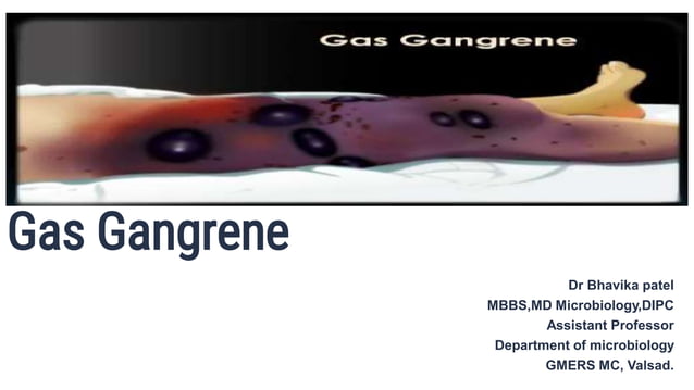 Gas gangrene dr bhavika(pathogenies,clinical features and lab diagnosis ...