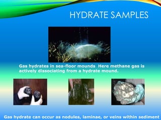 Gas hydrates | PPTX