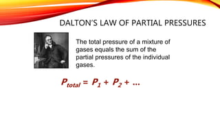 Ideal Gas Laws | PPTX