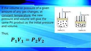Gas laws | PPTX