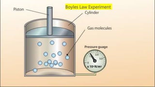 Gas Laws for CSEC Physics - Easy to learn | PPTX