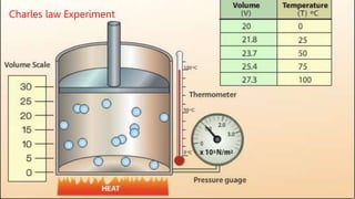 Gas Laws for CSEC Physics - Easy to learn | PPTX