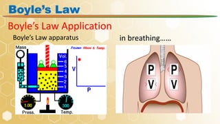 Gas laws & kinetic molecular theory | PDF