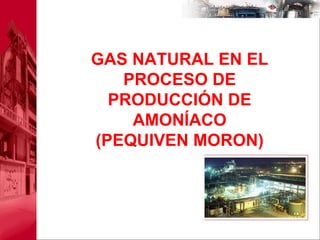Gas natural | PDF