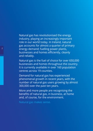 Gas Networks Ireland Connecting your Home to Natural Gas | PDF