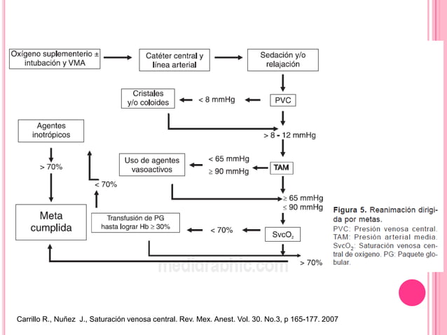 Gasometría arterial y venosa