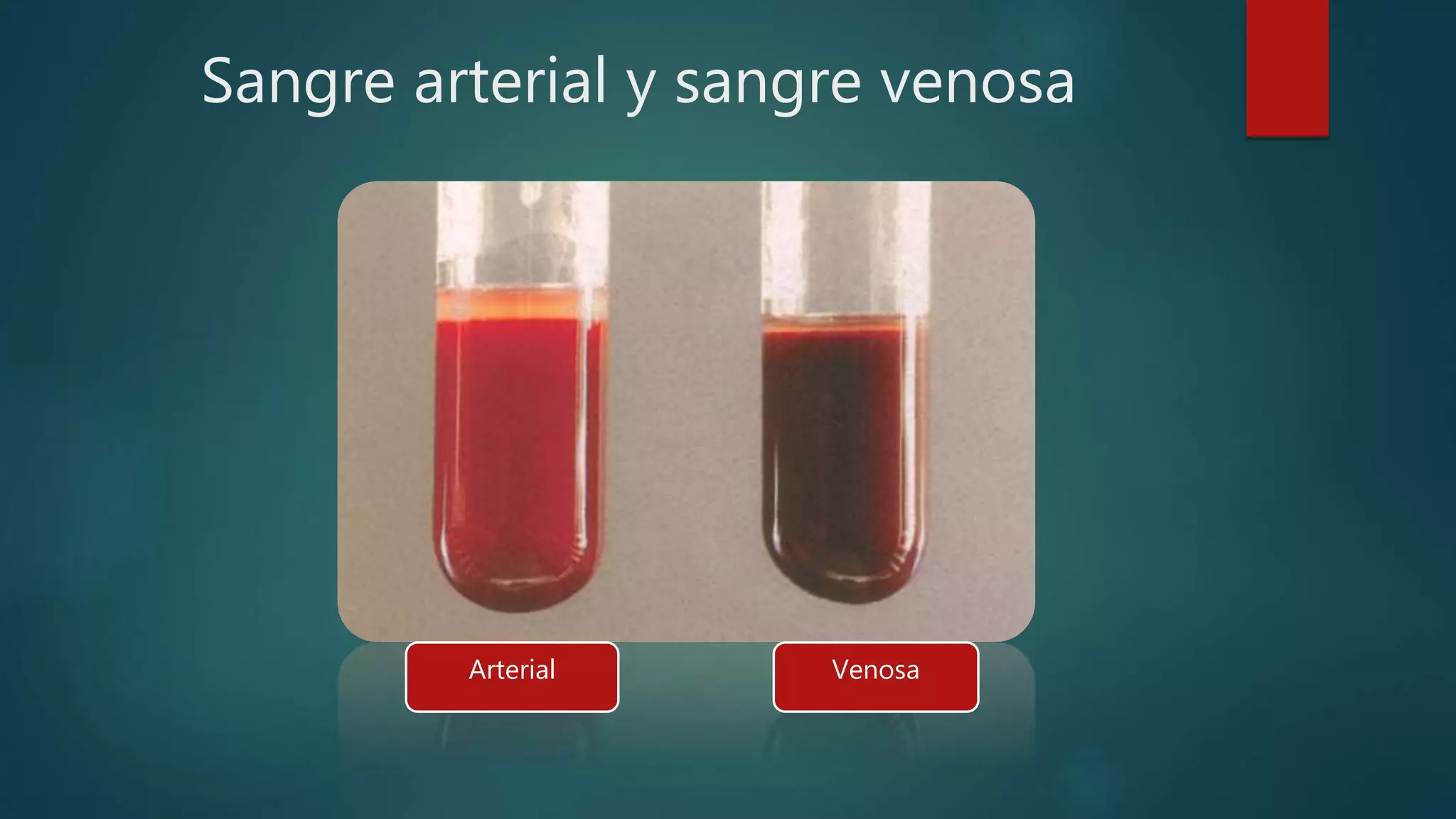 Gasometría arterial y venosa | PPTX