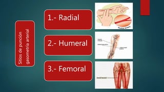 Gasometría arterial y venosa | PPTX