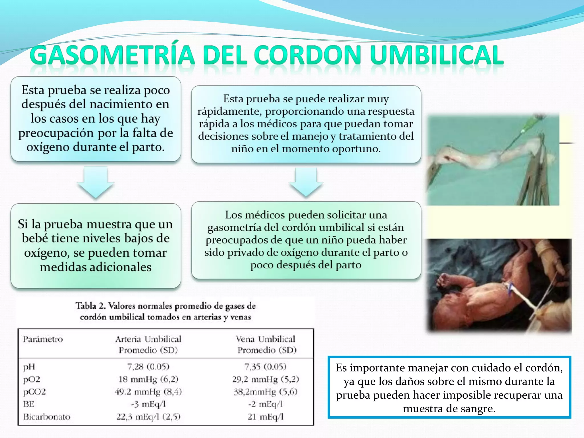 Gasometría arterial ppt | PPT