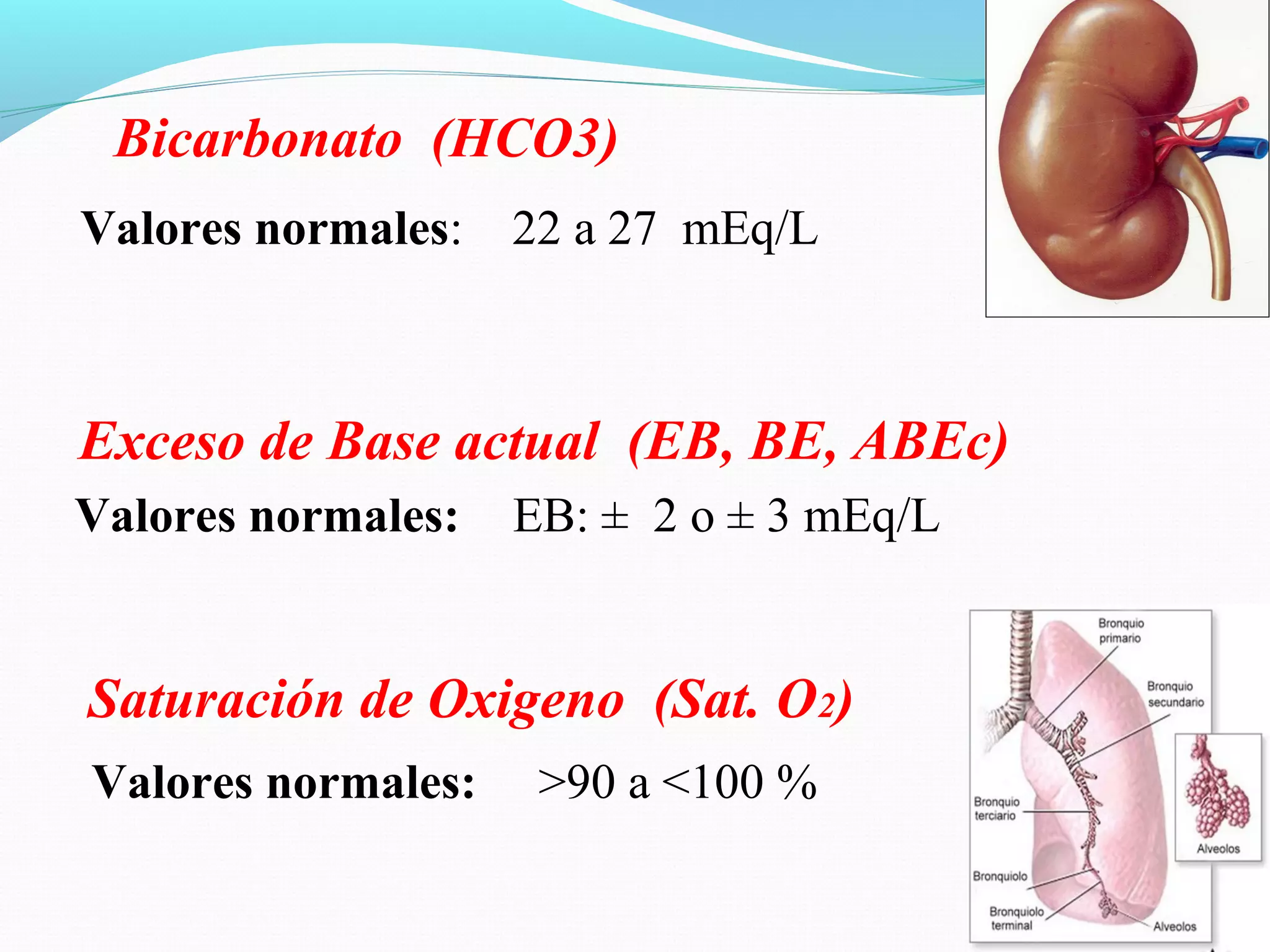 Gasometría arterial ppt | PPT