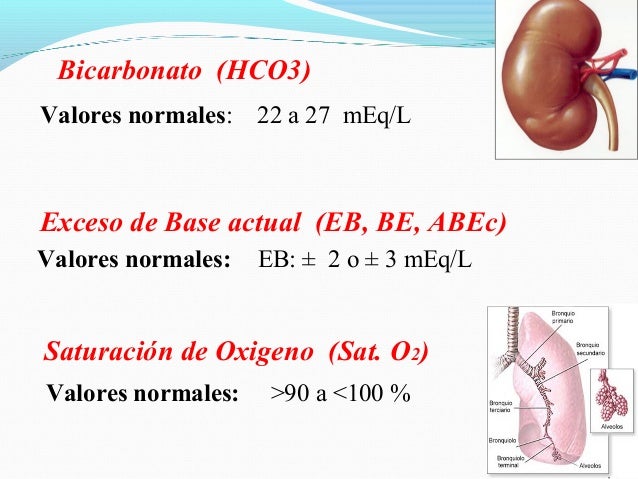 Gasometría arterial ppt