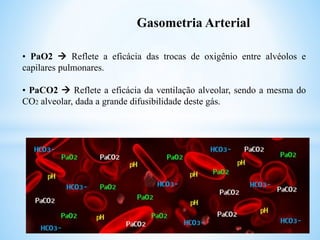 Gasometria arterial fisioterapia | PDF