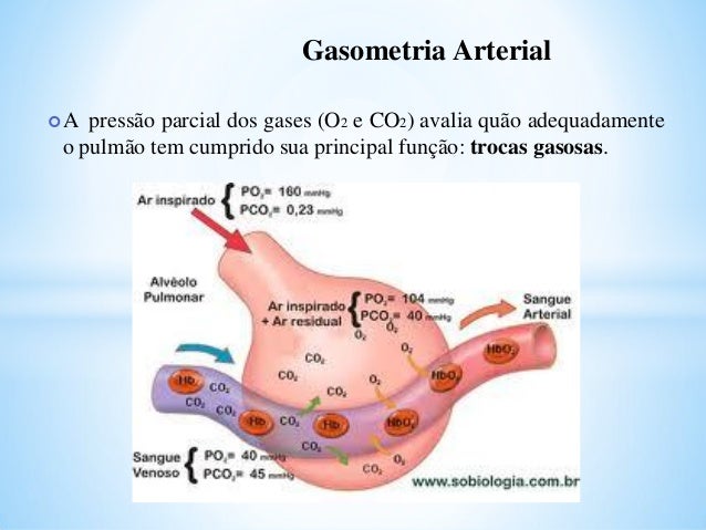 Gasometria arterial fisioterapia