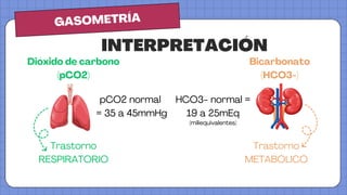Gasometria y pletismografia.pdf 24456.pdf