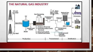 Gas Plant and Distributions | PPTX