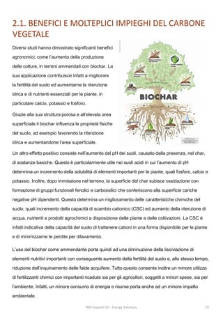 Gassificazione da biomasse che produce biochar | PDF | Power and Energy ...