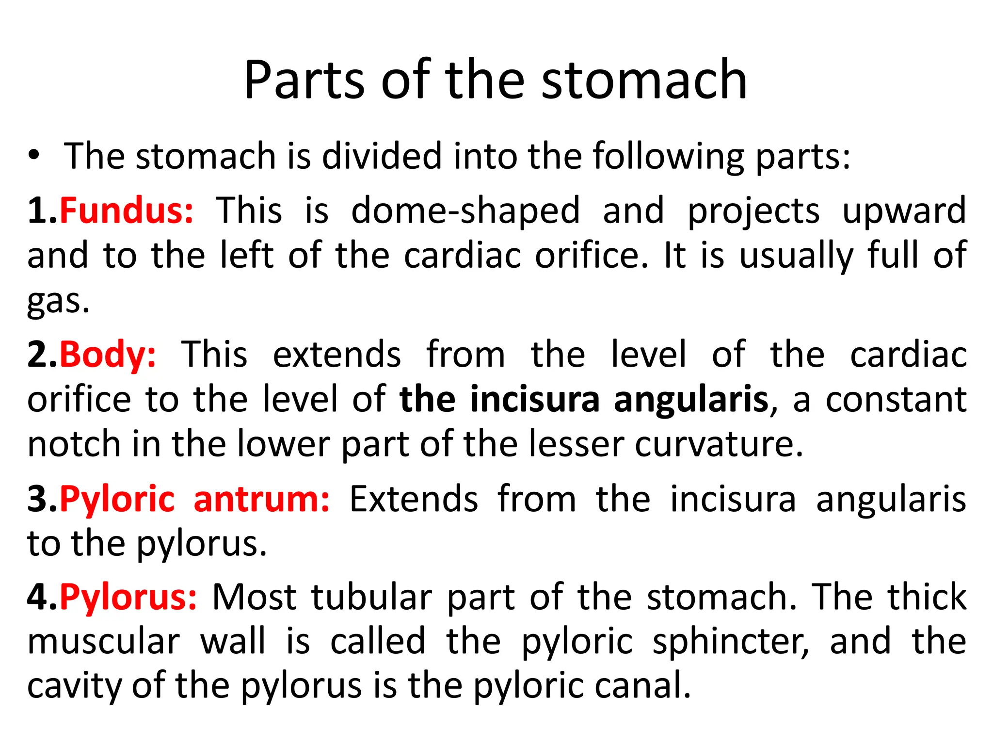 Gastero intestinal tract- Antomy and Physiology stomach.pptx