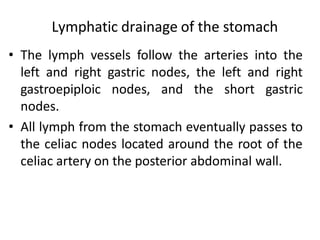 Gastero intestinal tract- Antomy and Physiology stomach.pptx