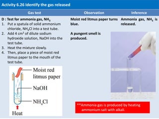 Ammonia Gas Test