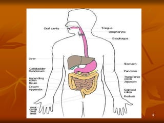 GASTIC DISORDERS.pptx